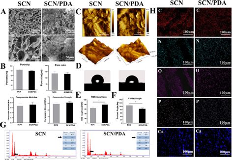 Scaffold Characterization A Sem Image Of The Scaffold B Relevant Download Scientific