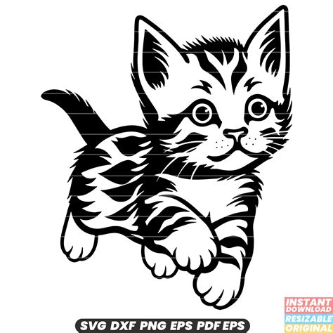 Sniff Catnip Hail Kitten Svg Dxf Eps Png Digital Download Artofit