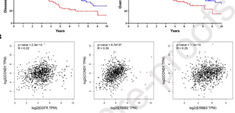 Gene Expression Data Analysis From Patients With Lung Cancer A Ccnd1
