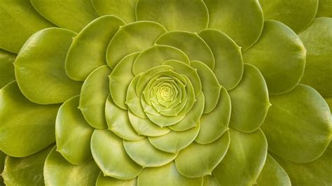 Demystify The 12 Steps By Talking To Other Recovering Sex Addicts Sex And Relationship Healing