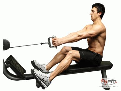 Seated Row Exercise MyFit