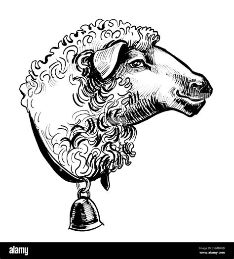Sheep Head With A Bell Ink Black And White Drawing Stock Photo Alamy