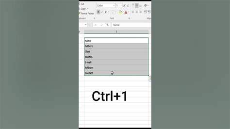 Create Form In Excelexceltips Exceltricks Youtube