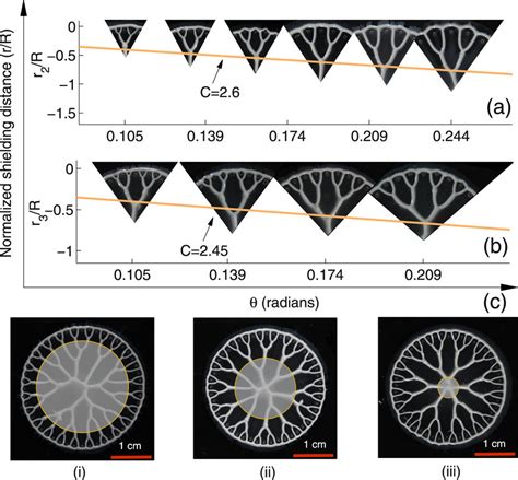 Tree Like Patterns Pictorial Representation Of Increase In Node Download Scientific Diagram