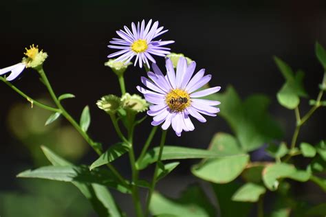 10月 日本キリスト教団 中標津伝道所 blog