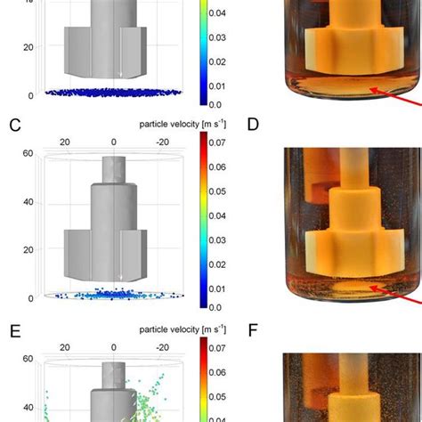 Validation Of Ipsc Aggregate Sedimentation Modelling A Quantity Of Download Scientific Diagram
