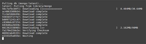 The Definitive Guide To Using Docker As A Local Development Environment