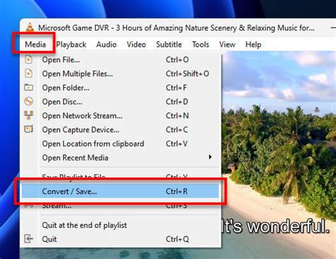 Vlc Could Not Open The Mpgamp4vmp4a Audio Encoder