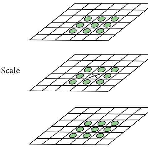 Active Contour Extract And Segment Download Scientific Diagram