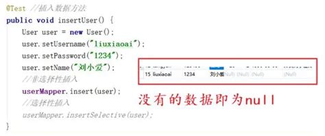 mapper的使用 capdmapper csdn博客