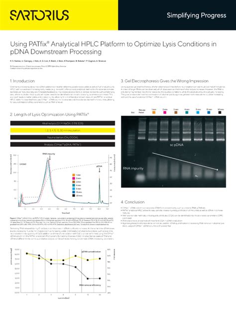 Using Patfix Analytical Platform To Optimize Lysis Conditions In Pdna Downstream Processing