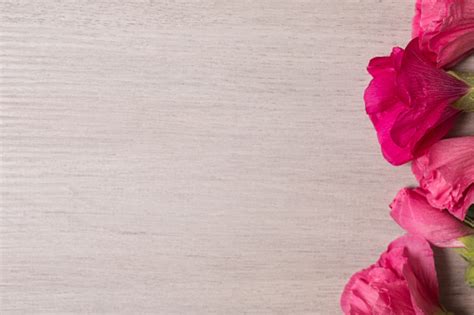 붉은 꽃은 나무 배경에 놓여 있습니다 텍스트 및 디자인 공간을 사용할 수 있습니다 카피스페이스 맨 위 보기 개념과 주제에 대한