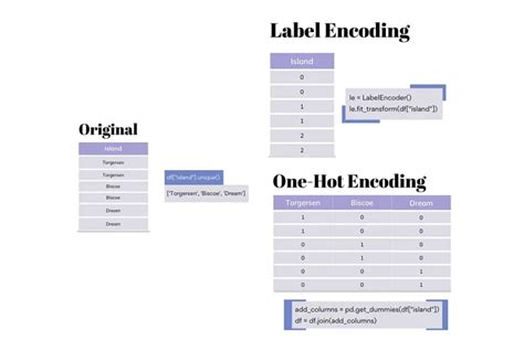 Machinelearning Datascience Datapreprocessing Featureengineering
