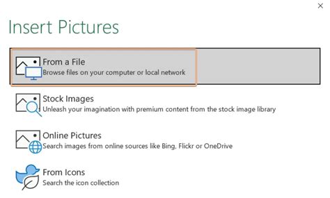 How To Insert Pictures In Excel Automatically Size To Fit Cells