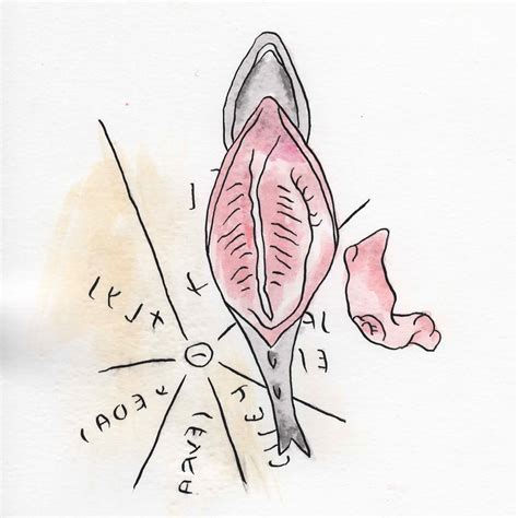 Fish Sauce South Side Weekly