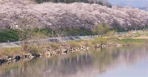 船冈城址公园目的地官方日本国家旅游局 JNTO