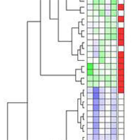 unsupervised hierarchical cluster analysis download scientific diagram