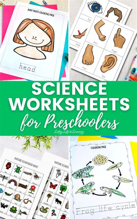 Science Worksheets For Preschoolers Worksheets Library