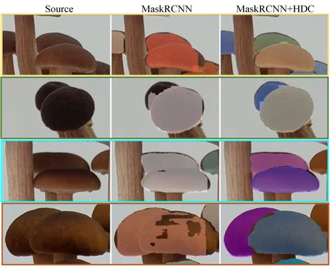 Ac R Cnn Pixelwise Instance Segmentation Model For Agrocybe Cylindracea Cap