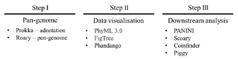 Scheme For A Pan Genome Analysis Workflow Download Scientific Diagram