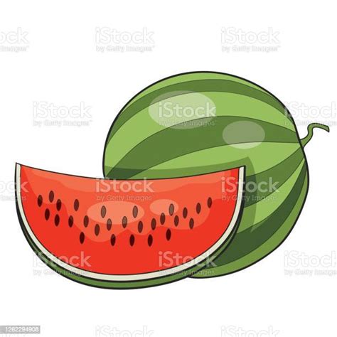 베리 수박 전체 및 그 부분 만화 일러스트 흰색 배경에 고립 된 개체 벡터 일러스트 과일에 대한 스톡 벡터 아트 및 기타 이미지 과일 벡터 빨강 Istock