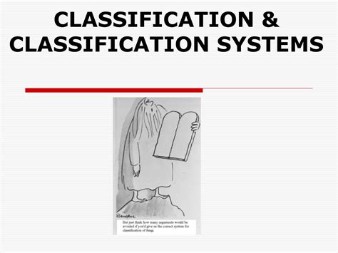 Solution Lecture 4 Classification Classification Systems 2 Studypool
