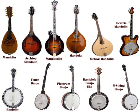 Native American String Instruments Native American String Instruments