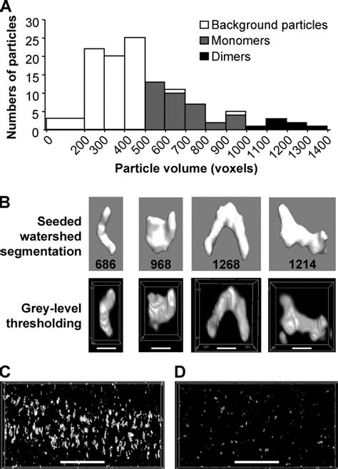 Particle Identification In Protein Solution And Plain Buffer 3d Download Scientific Diagram