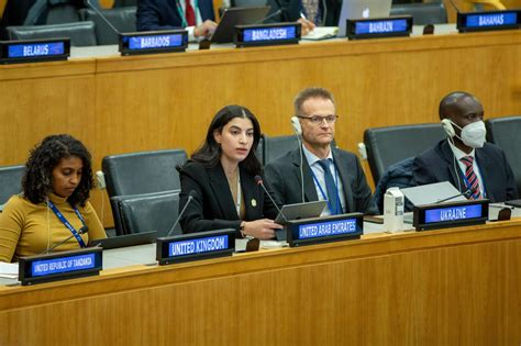 Uae Statement At The Un General Assembly Second Committee General