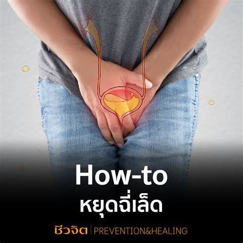 How To หยุดฉี่เล็ด การบริหารกล้ามเนื้ออุ้งเชิงกราน มีส่วนช่วยแก้ไขและป้องกันภาวะกลั้นปัสสาวะ