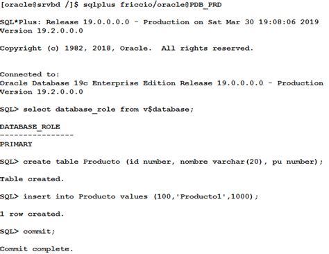 Operaciones Dml Sobre Active Dataguard Oracle Database Programa En