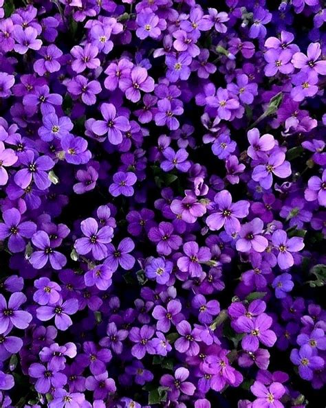 John Brian C Posted On Linkedin