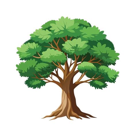 Tree Drawing Vector Art Icons And Graphics For Free Download