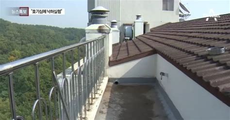 캣맘 사건 용의자는 초등생 호기심에 낙하실험