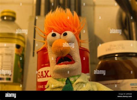 Beaker Muppet Lab