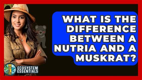 Pics Of Nutria Identifying The Invasive Marsh Rat A Visual Guide