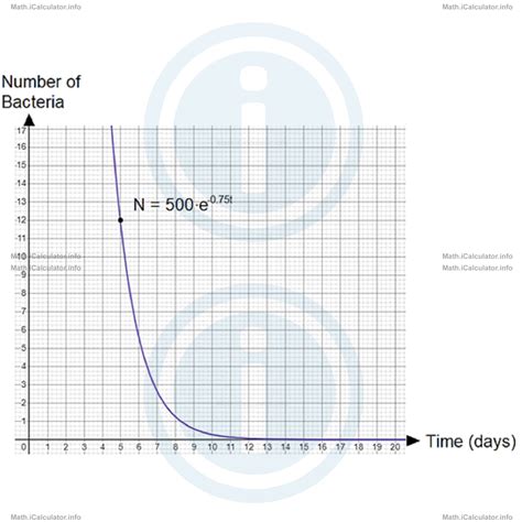Exponential Graphs That Involve Eulers Number Icalculator™