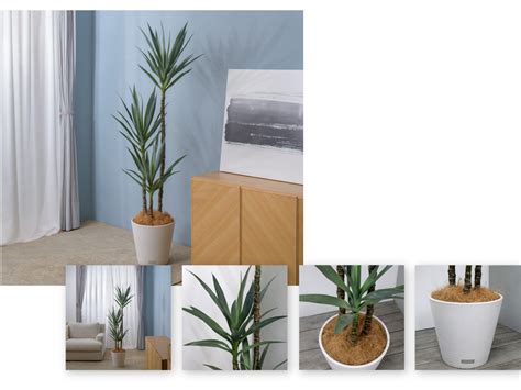 【楽天市場】観葉植物 ユッカラン 造花 インテリア おしゃれ 大型 アーティフィシャルグリーン インテリア 造花 緑 アーティフィシャル
