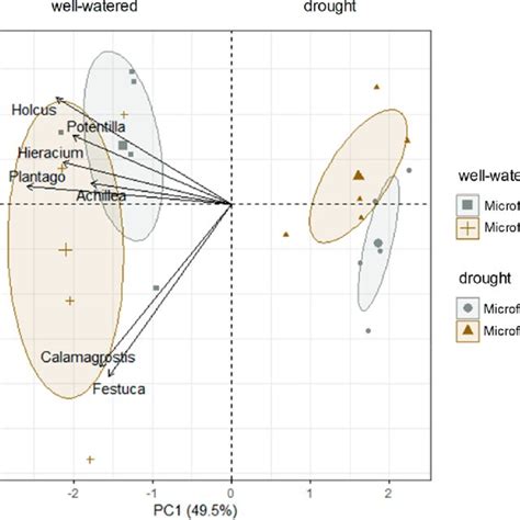 Principal Component Analysis Of The Plant Community Structure Based On