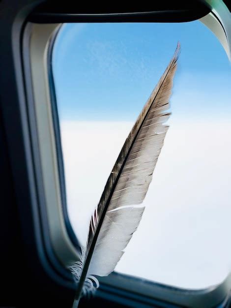 82000 Flight Feather Pictures