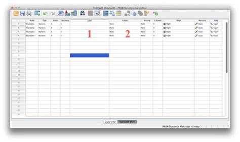 Using Syntax To Assign Variable Labels And Value Labels In Spss