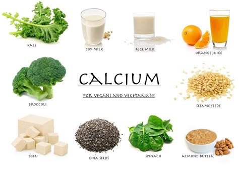 9 Foods That Enhance Calcium Levels And Ensure Healthy Bones