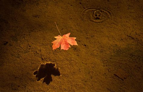 Suzanne Mathia Fall At Last The Scorching Sun Will Go Facebook