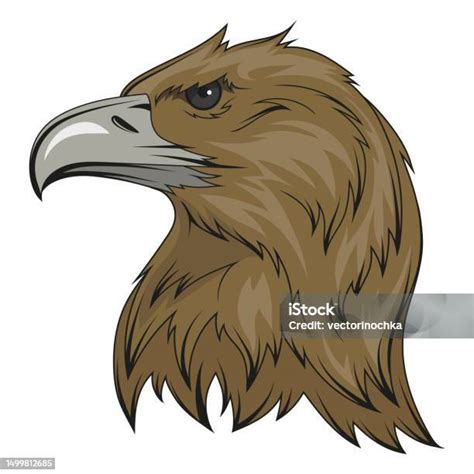독수리 치솟는 대머리 독수리의 벡터 그림입니다 미국의 국가 상징 갈고리 발톱에 대한 스톡 벡터 아트 및 기타 이미지 갈고리