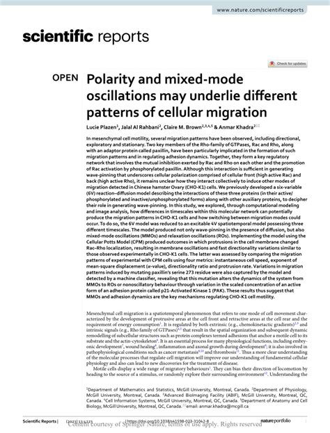 Pdf Polarity And Mixed Mode Oscillations May Underlie Different