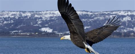 Services Qafoo Gmbh Passion For Software Quality