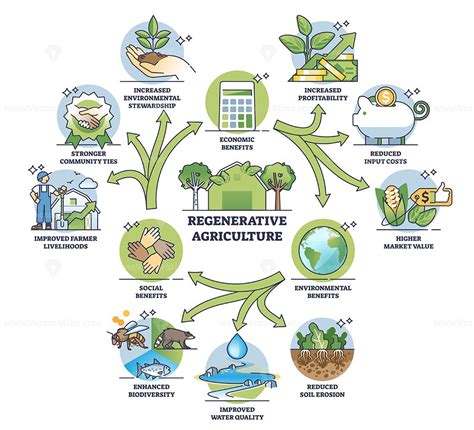 Regenerative Agriculture Cycle And Sustainability Practices Outline