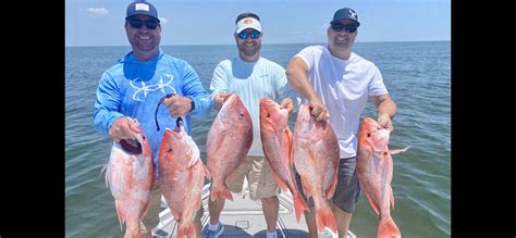 Gallery Southern Salt Outdoors