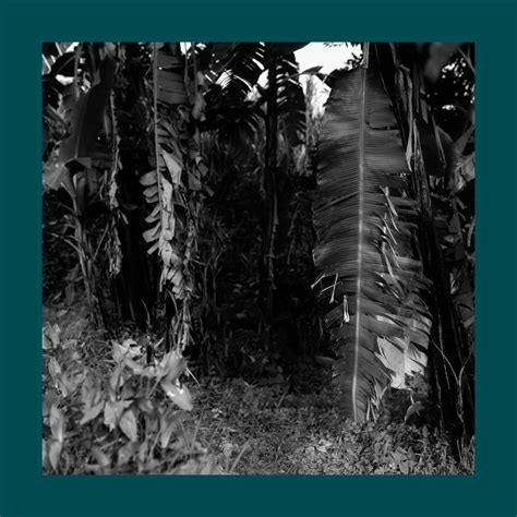 Imigani On Linkedin Have You Ever Worked As A Creative On Your