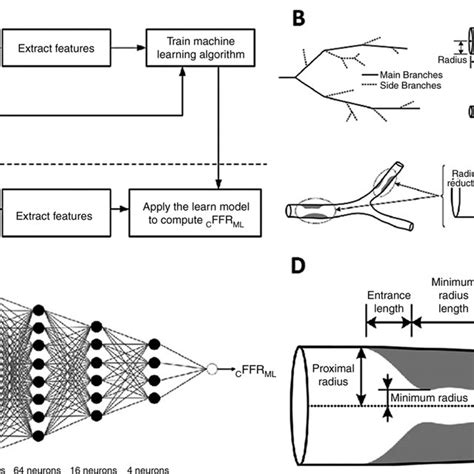 Determination Of Ffr Ct By Using Computational Fluid Dynamics Download Scientific Diagram